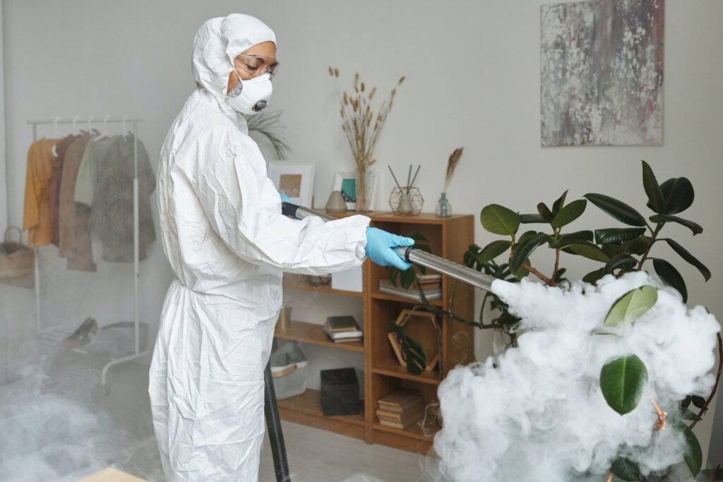 fumigación en Valencia - plantas - Coandi