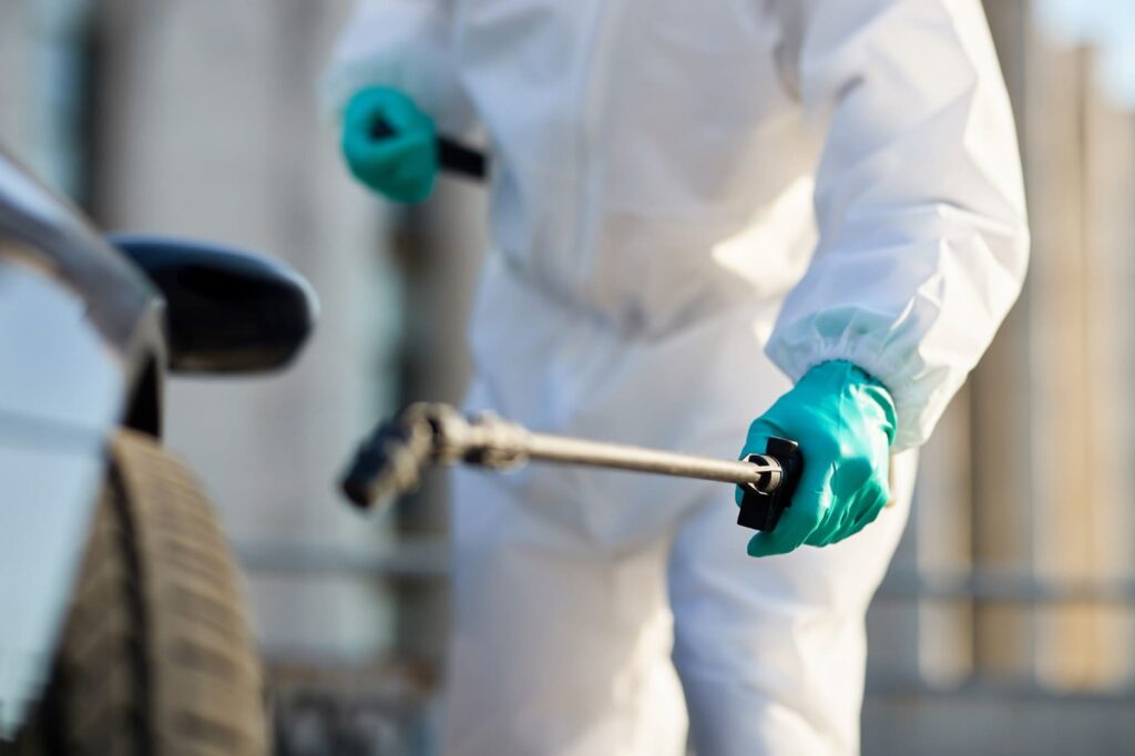 ¿Necesitas servicios de gestión de plagas Valencia? - Coandi